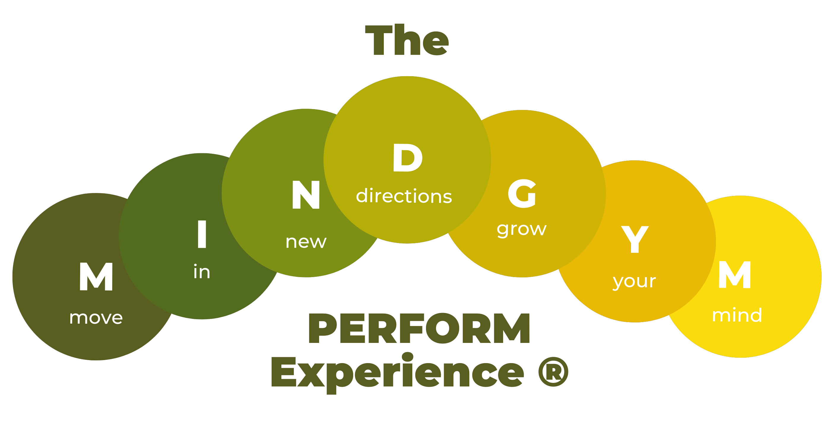 Brain Training – The PERFORM Experience